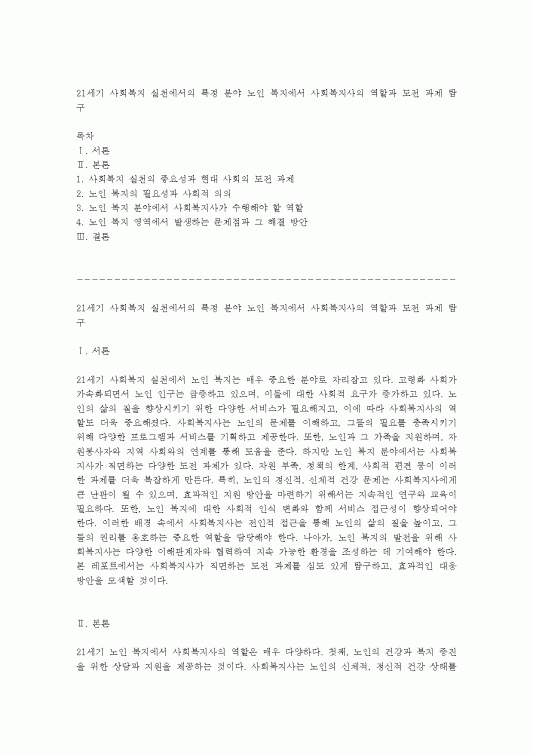21세기 사회복지 실천에서의 특정 분야 노인 복지에서 사회복지사의 역할과 도전 과제 탐구