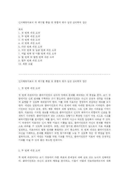 인지행동치료의 각 회기별 통찰 및 종합적 평가 임상 심리학적 접근
