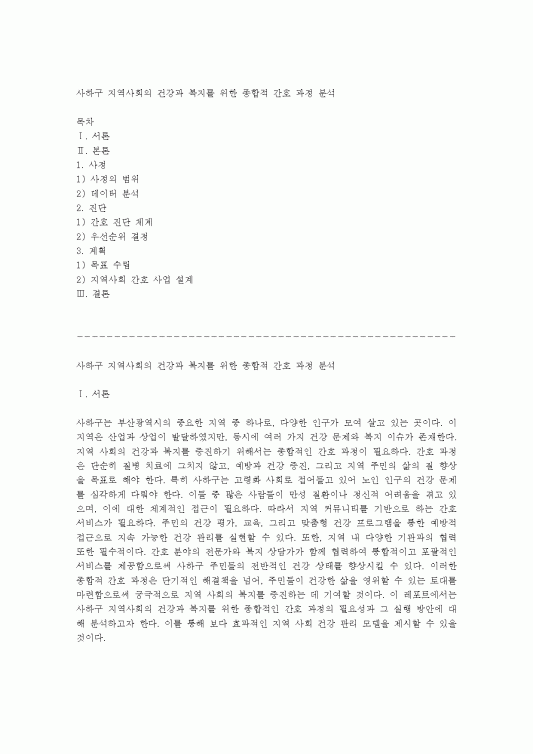사하구 지역사회의 건강과 복지를 위한 종합적 간호 과정 분석