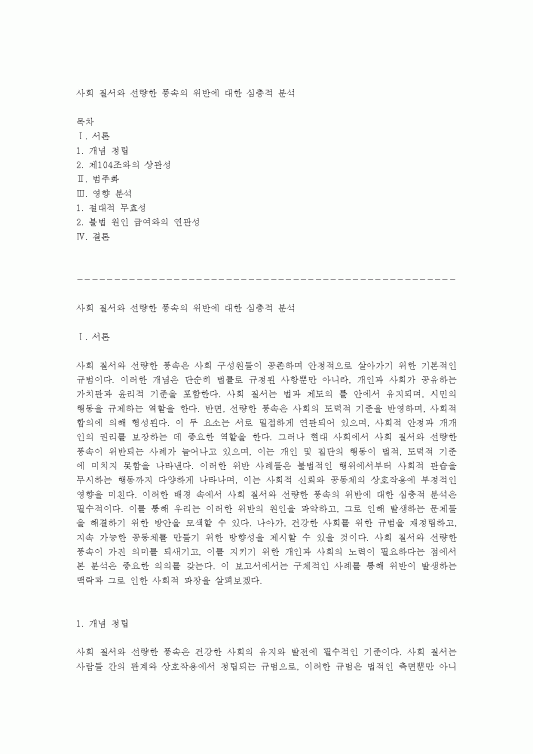 사회 질서와 선량한 풍속의 위반에 대한 심층적 분석