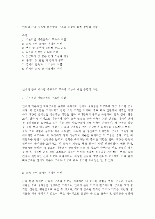 인체의 근육 시스템 해부학적 구조와 기능에 대한 종합적 고찰
