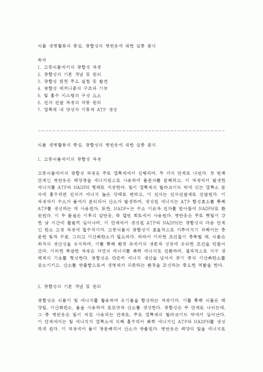 식물 생명활동의 중심, 광합성의 명반응에 대한 심층 분석