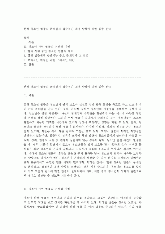 현행 청소년 법률의 문제점과 필수적인 개정 방향에 대한 심층 분석