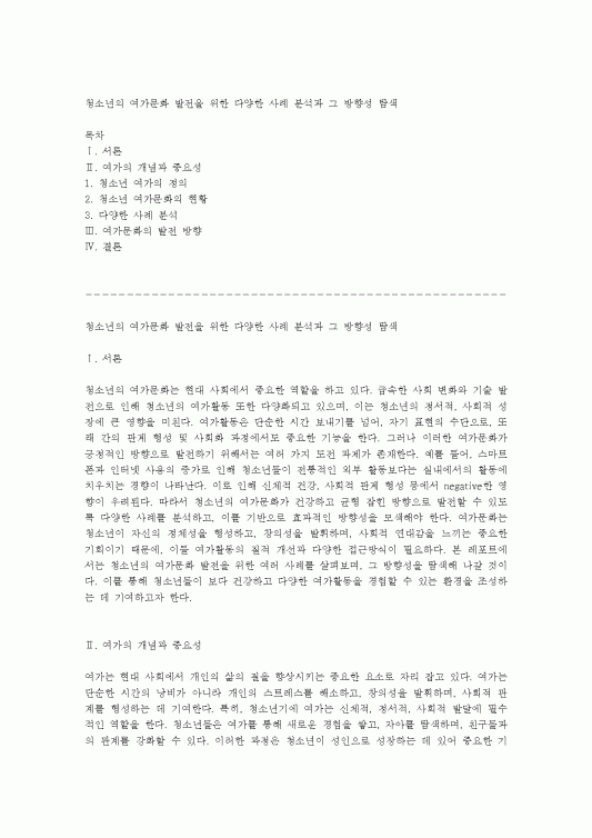 청소년의 여가문화 발전을 위한 다양한 사례 분석과 그 방향성 탐색