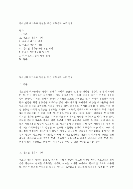 청소년의 여가문화 발전을 위한 방향성과 사례 연구