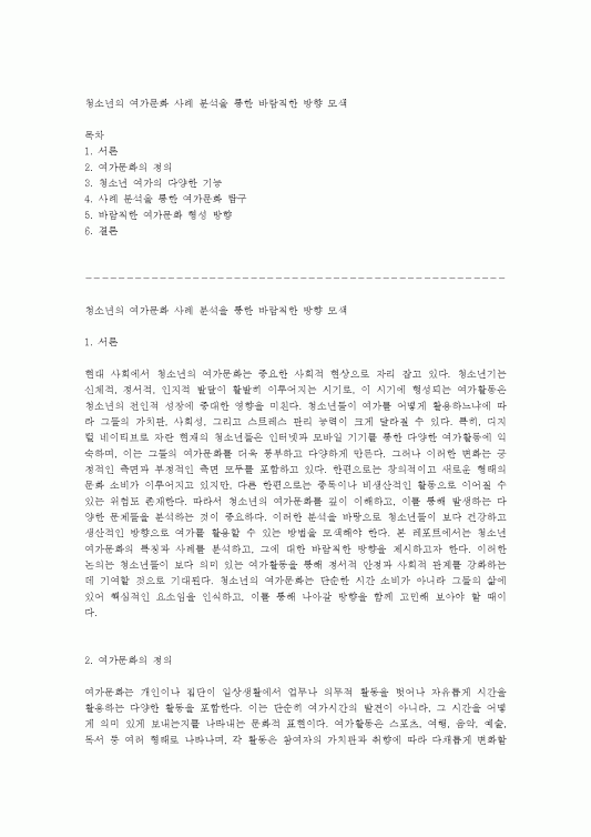 청소년의 여가문화 사례 분석을 통한 바람직한 방향 모색