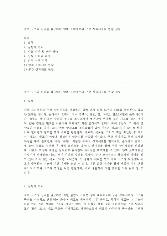 세포 구조의 신비를 탐구하다 양파 표피세포와 구강 상피세포의 관찰 실험