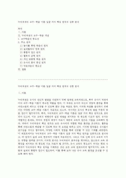 누리과정의 교수-학습 이론 일곱 가지 핵심 원칙의 심층 분석