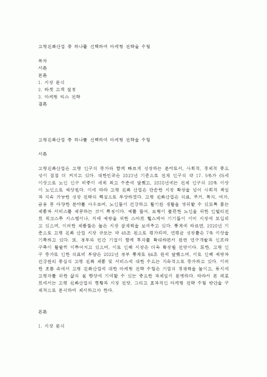 고령친화산업 중 하나를 선택하여 마케팅 전략을 수립