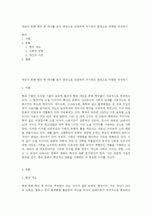 작금의 문화 현상 중 하나를 분석 대상으로 선정하여 자기만의 관점으로 비평문 작성하기