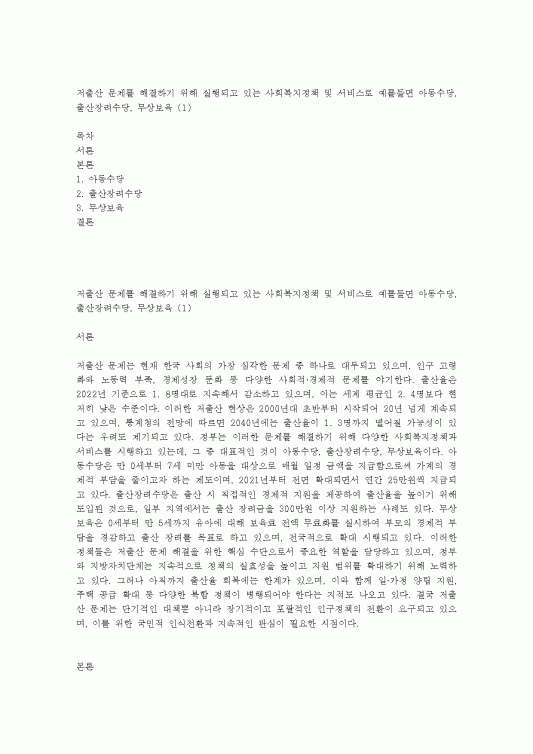 저출산 문제를 해결하기 위해 실행되고 있는 사회복지정책 및 서비스로 예를들면 아동수당, 출산장려수당, 무상보육 (1)
