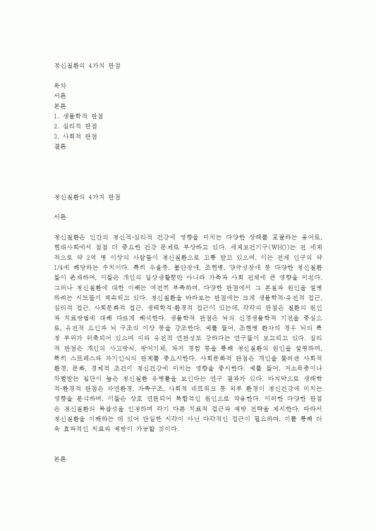 정신질환의 4가지 관점