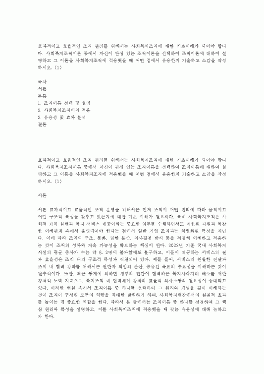조직이론 선택 및 설명 사회복지조직에의 적용 유용성 및 효과 분석