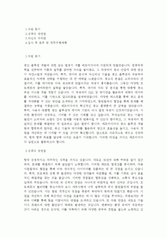 메조미디어_광고솔루션개발자_BEST 우수 자기소개서