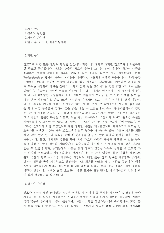배재대학교 대학원 간호학과 학업계획서 BEST 우수