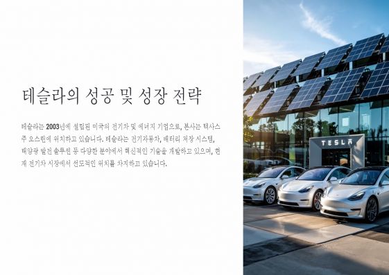 테슬라의 성공 및 성장 전략