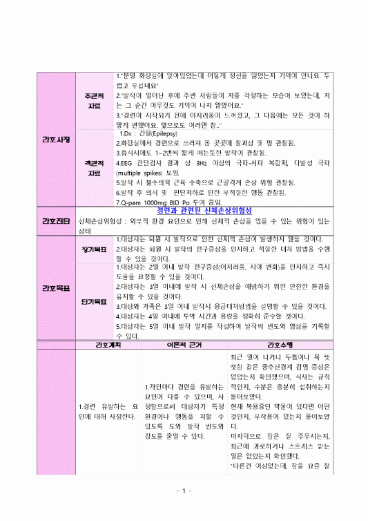 경련과 관련된 신체손상위험성(간질)