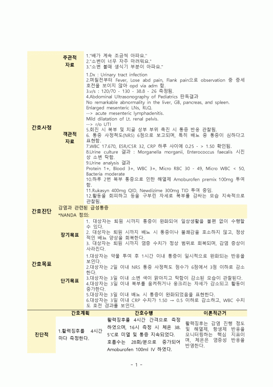 감염과 관련된 급성통증 요로감염 아동간호학