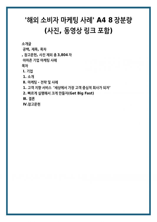 해외 소비자 마케팅 사례 A4 8장분량 (사진, 동영상 링크 포함)