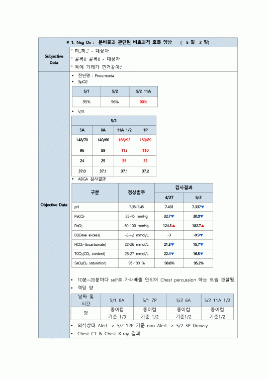 분비물과 관련된 비효율적 호흡 양상(폐렴)