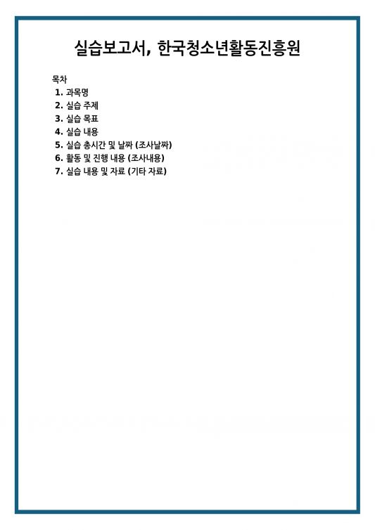 실습보고서, 한국청소년활동진흥원