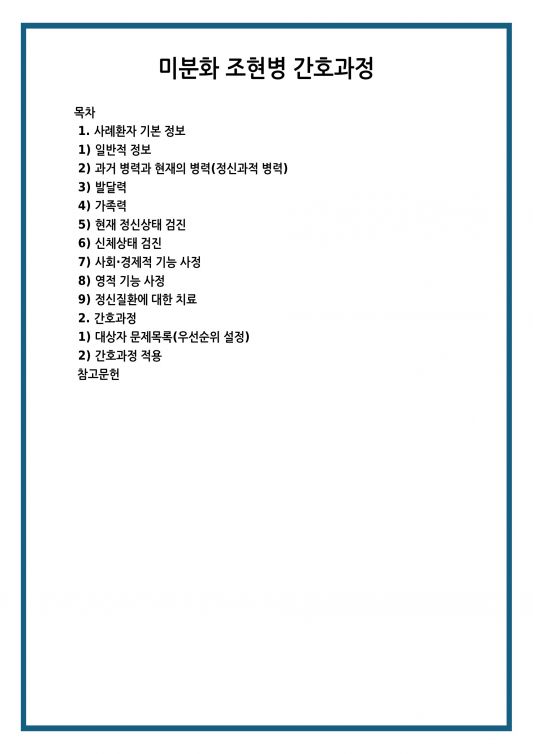 미분화 조현병 간호과정