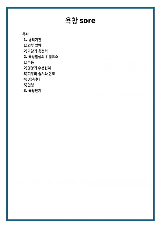 욕창 sore 레포트 자료