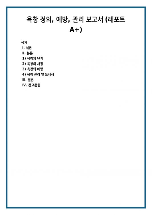 욕창 정의, 예방, 관리 보고서