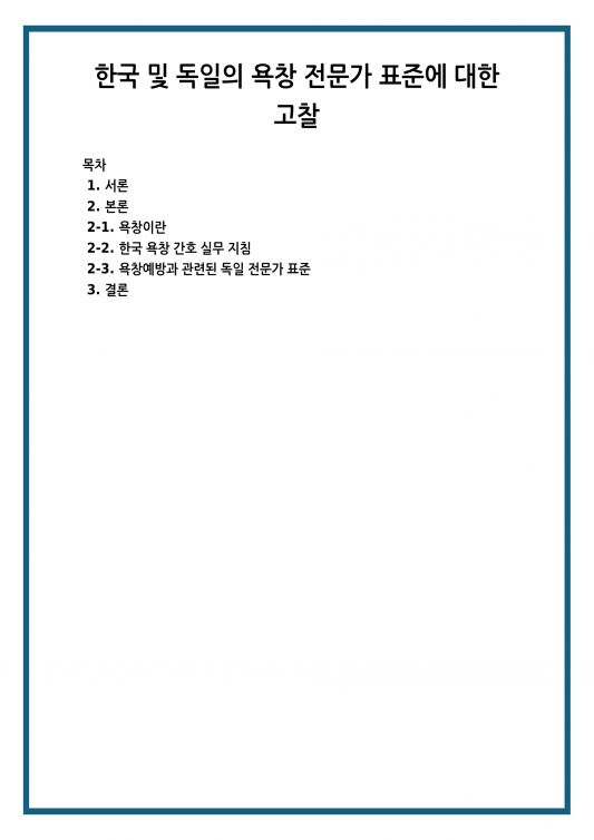 한국 및 독일의 욕창 전문가 표준에 대한 고찰