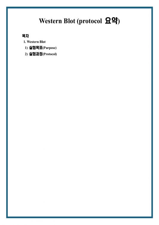 Western Blot (protocol 요약)