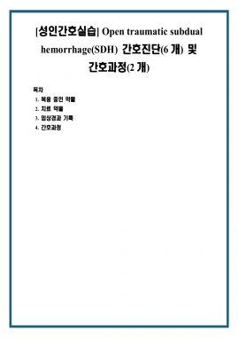 [성인간호실습] Open traumatic subdual hemorrhage(SDH) 간호진단(6개) 및 간호과정(2개)