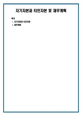 자기자본과 타인자본 및 재무계획