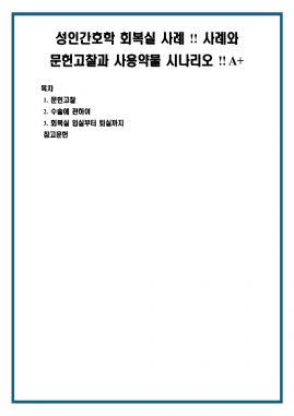 성인간호학 회복실 사례 사례와 문헌고찰과 사용약물 시나리오