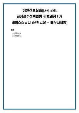 [성인간호실습] AML 급성골수성백혈병 간호과정5개 케이스스터디 (문헌고찰 매우자세함)