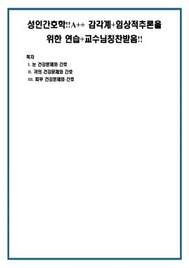 성인간호학 감각계임상적추론을 위한 연습교수님칭찬받음