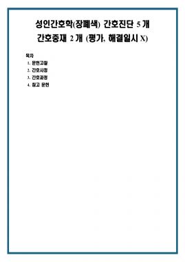 성인간호학(장폐색) 간호진단 5개 간호중재 2개 (평가, 해결일시X)