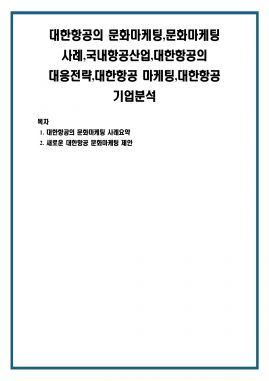 대한항공의 문화마케팅,문화마케팅 사례,국내항공산업,대한항공의 대응전략,대한항공 마케팅,대한항공 기업분석