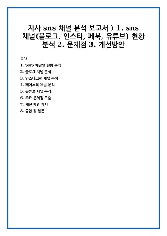 SNS 채널별 현황 분석 블로그 채널 분석 인스타그램 채널 분석 페이스북 채널 분석 유튜브 채널 분석 주요 문제점 도출 개선 방안 제시 종합 및