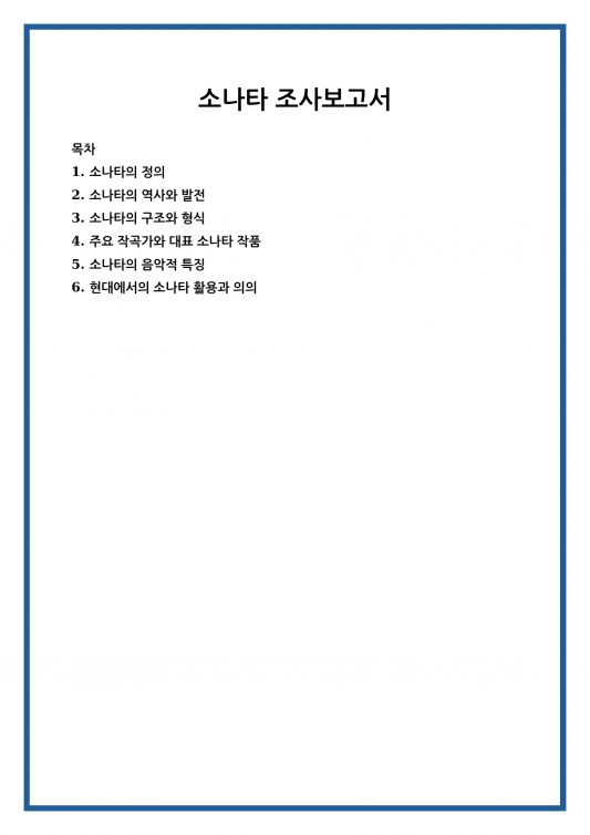 소나타 조사보고서