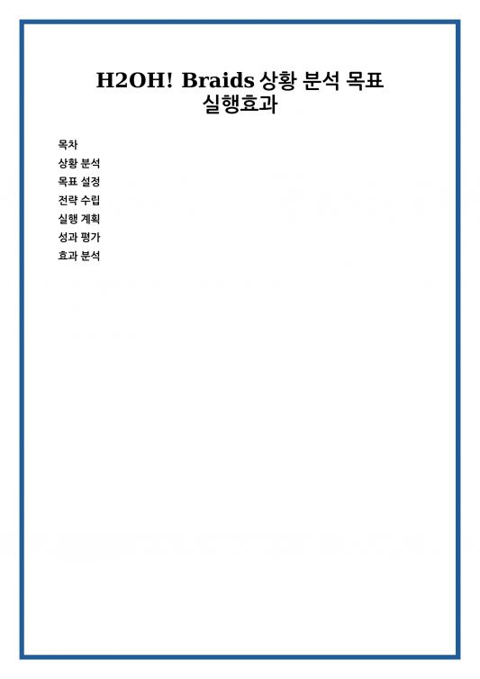 H2OH! Braids상황 분석 목표 실행효과