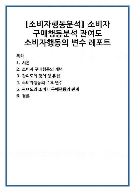 [소비자행동분석] 소비자 구매행동분석 관여도 소비자행동의 변수 레포트