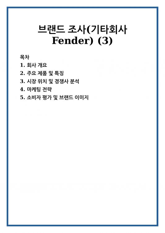 브랜드 조사(기타회사 Fender) (3)
