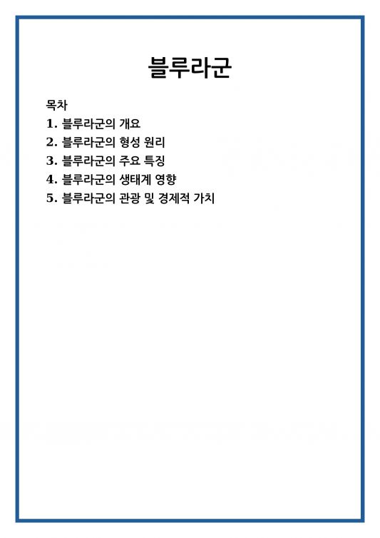 블루라군 레포트 자료