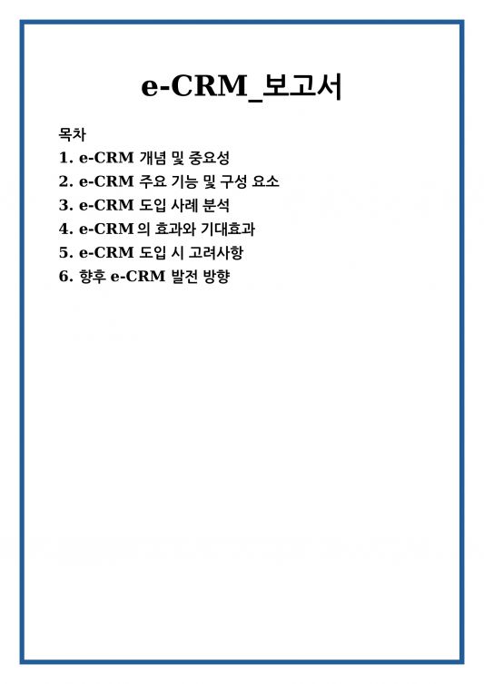 e-CRM_보고서 레포트 자료
