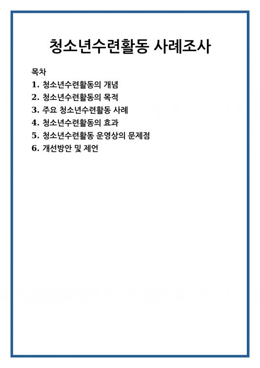 청소년수련활동 사례조사