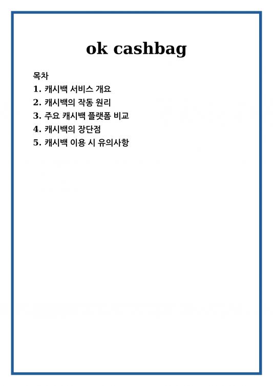 cashbag 레포트 자료
