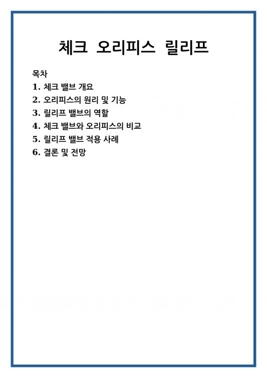 체크  오리피스  릴리프