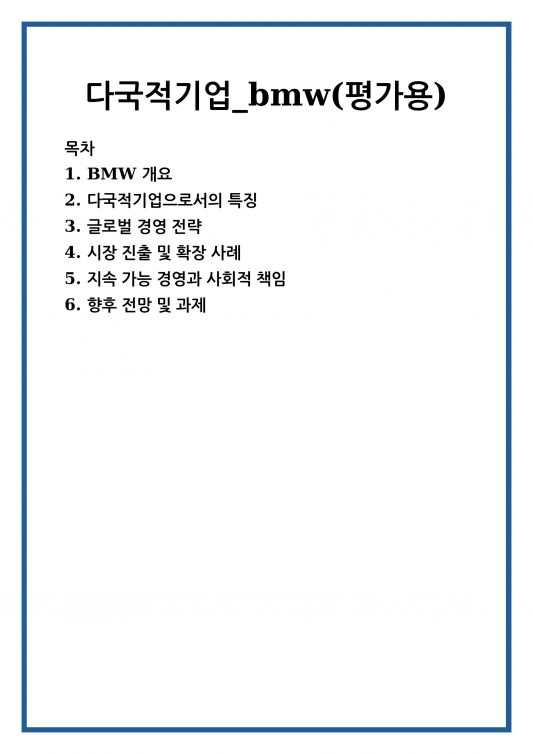 다국적기업_bmw(평가용)