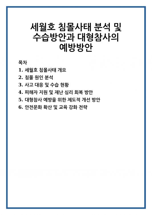 세월호 침몰사태 분석 및 수습방안과 대형참사의 예방방안