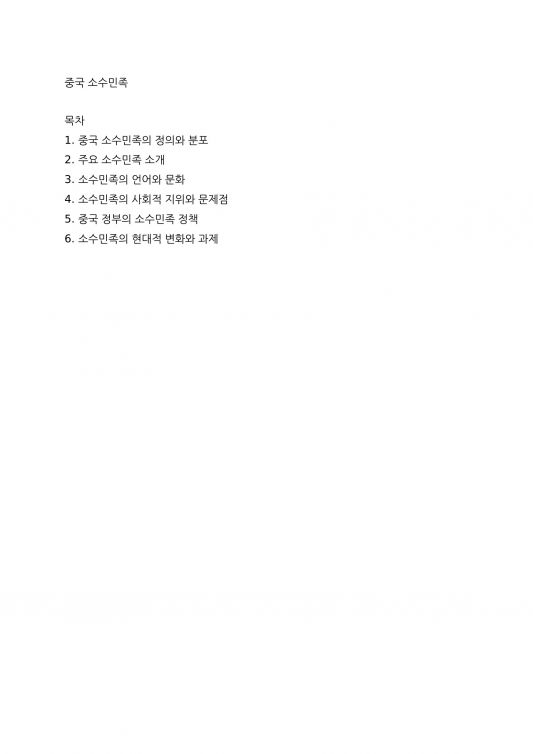 중국 소수민족